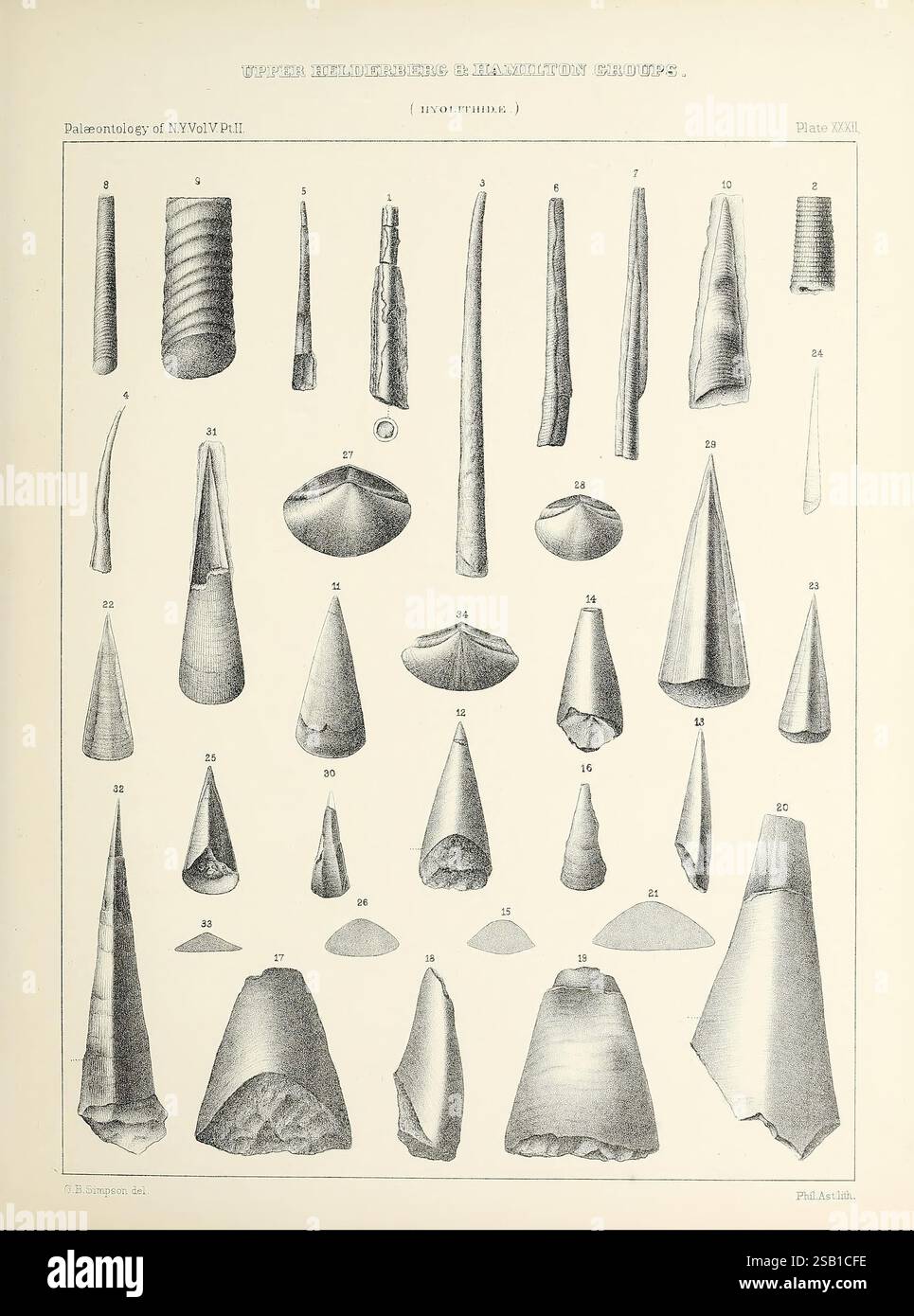 Natural history of New York, Albany, 1842-1894, agriculture, botany ...