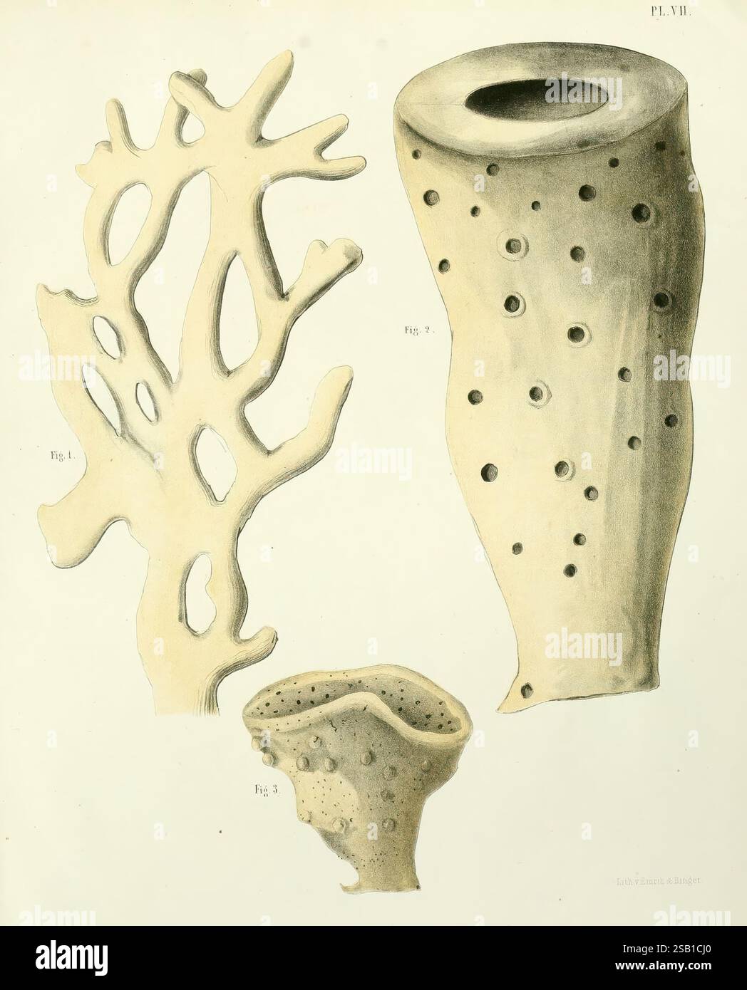 Representing unique shapes hi-res stock photography and images - Alamy