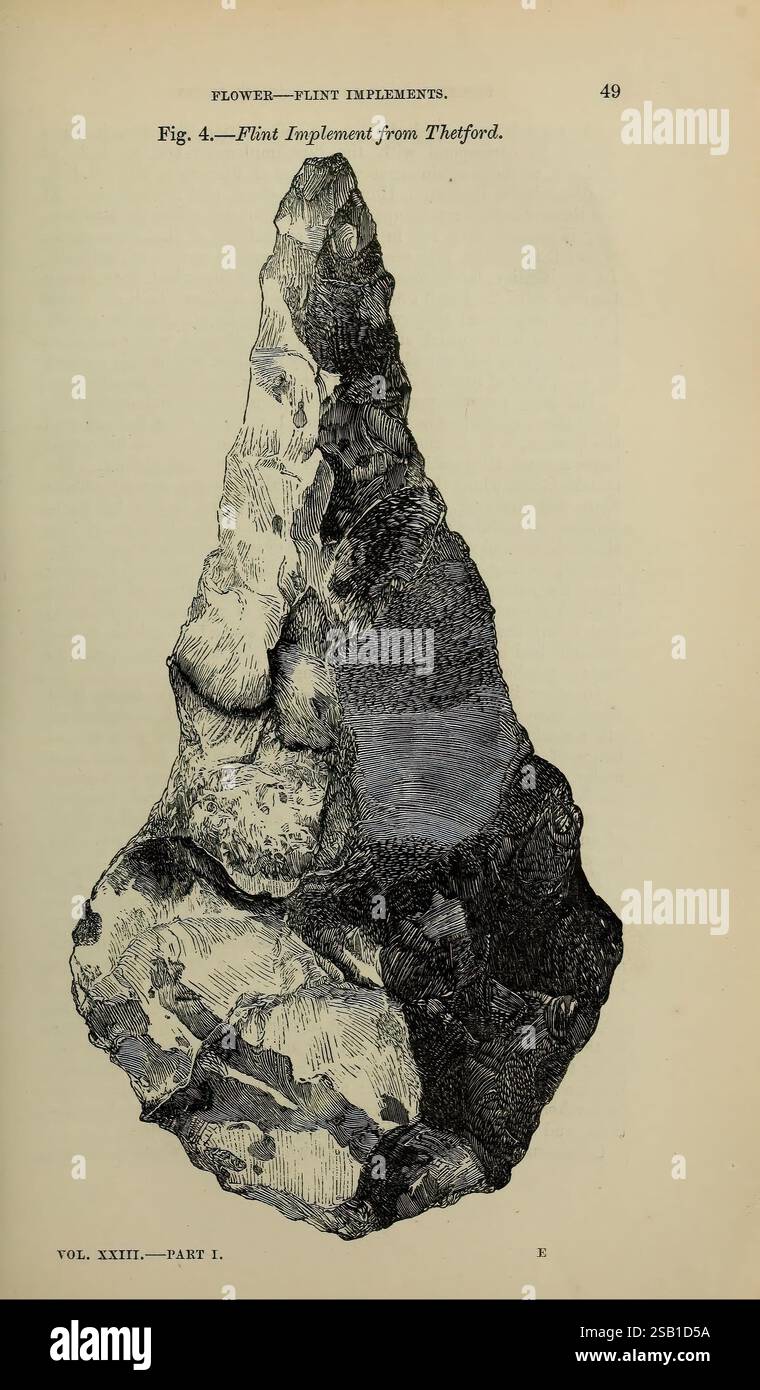 Early humans hi-res stock photography and images - Alamy