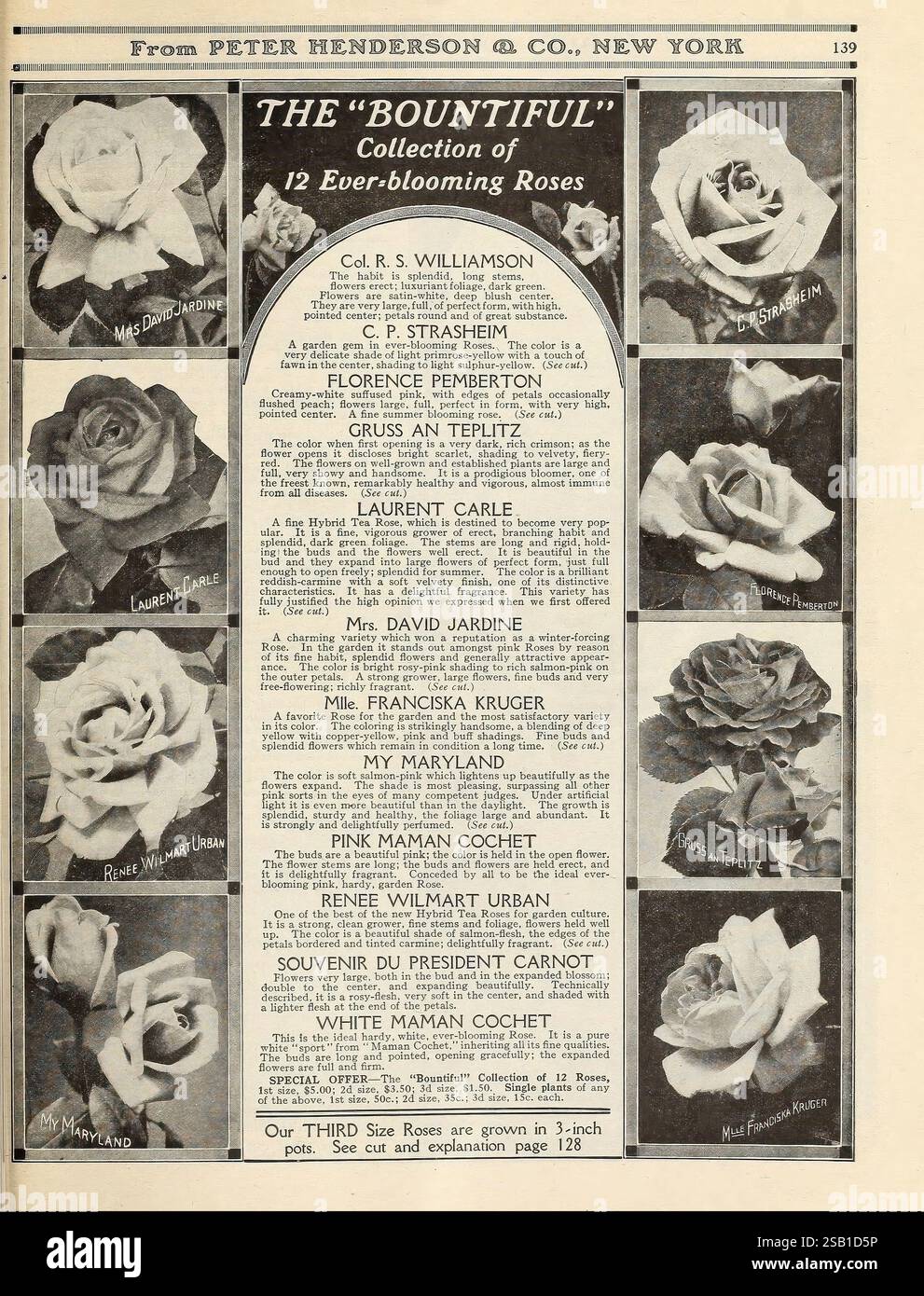 Twelve varieties hi-res stock photography and images - Alamy