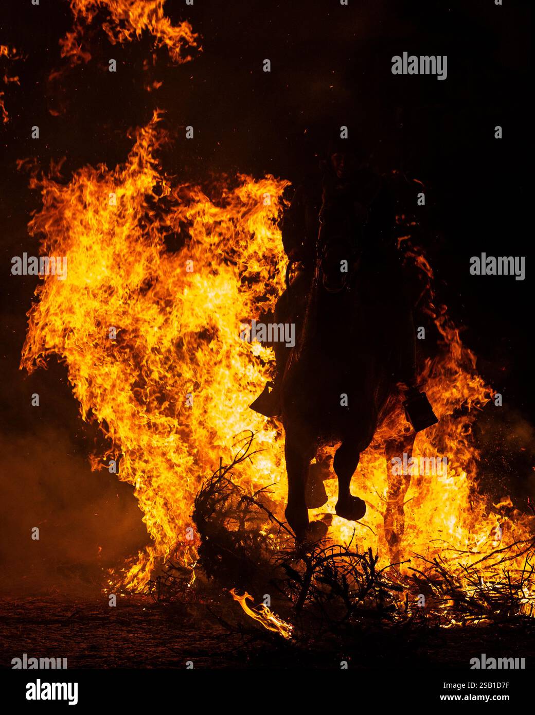 16 January 2025, Knights cross bonfires with their horses in an ancient ...
