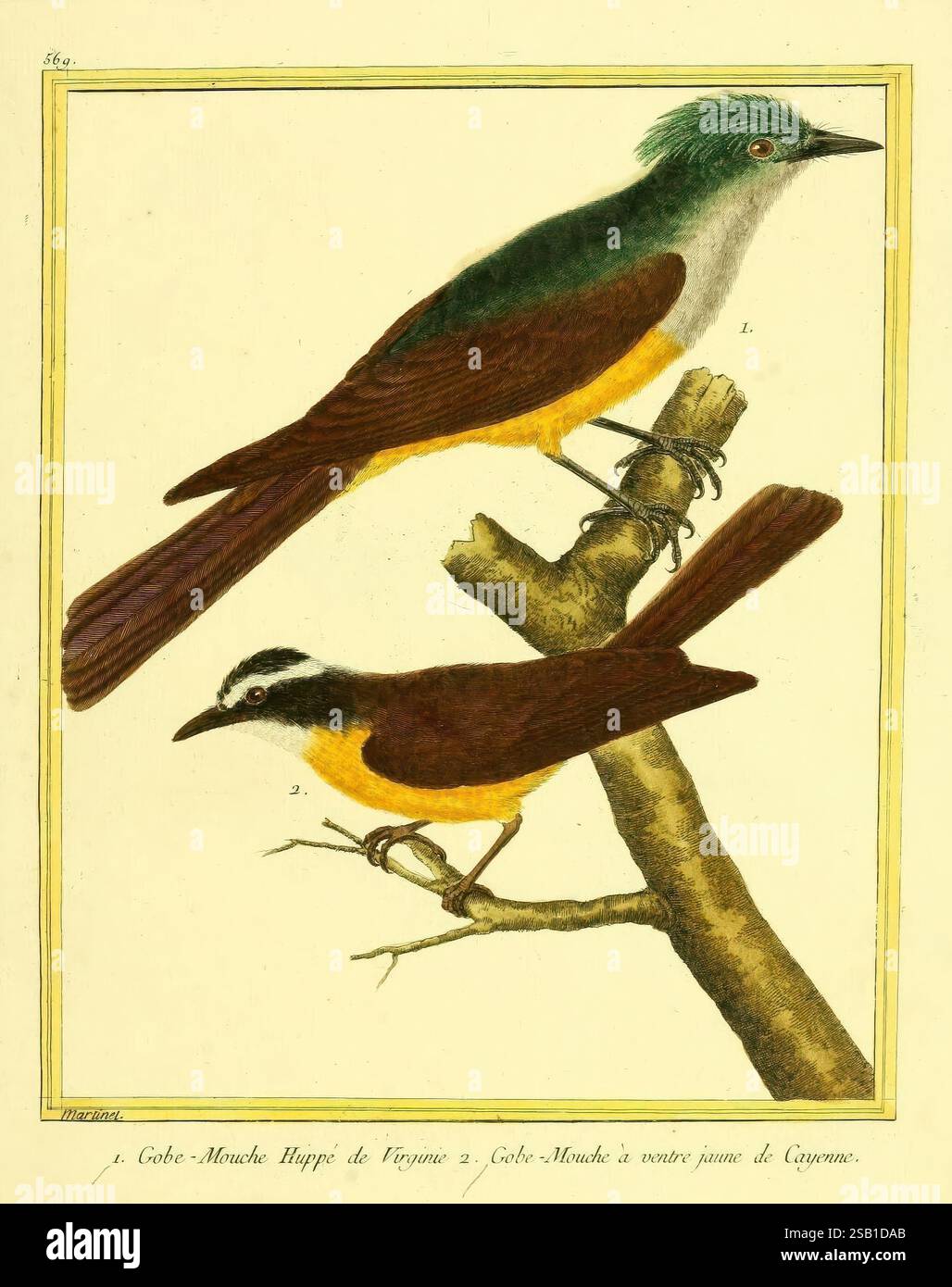 Subdued color scheme hi-res stock photography and images - Alamy