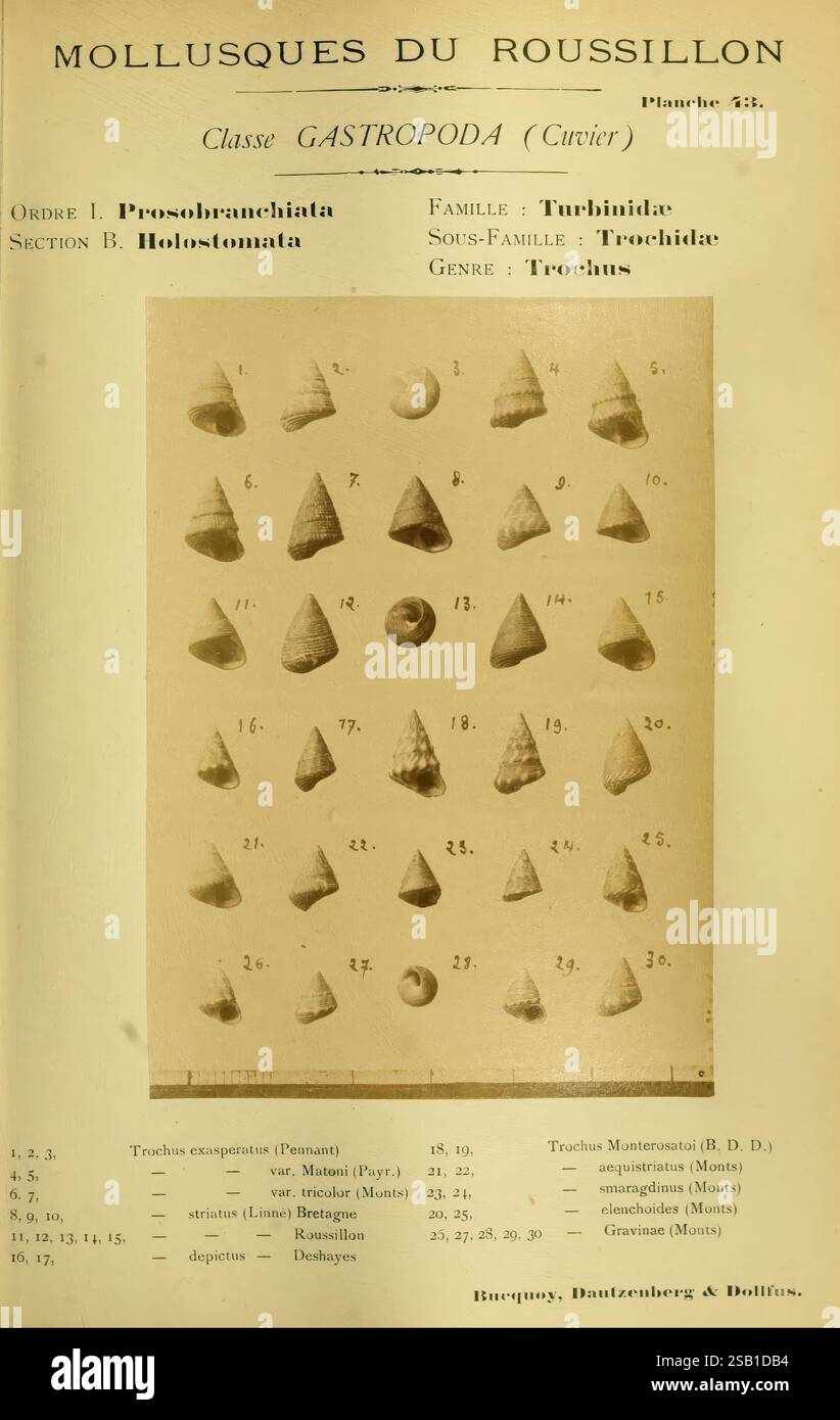 Curated display serves hi-res stock photography and images - Alamy