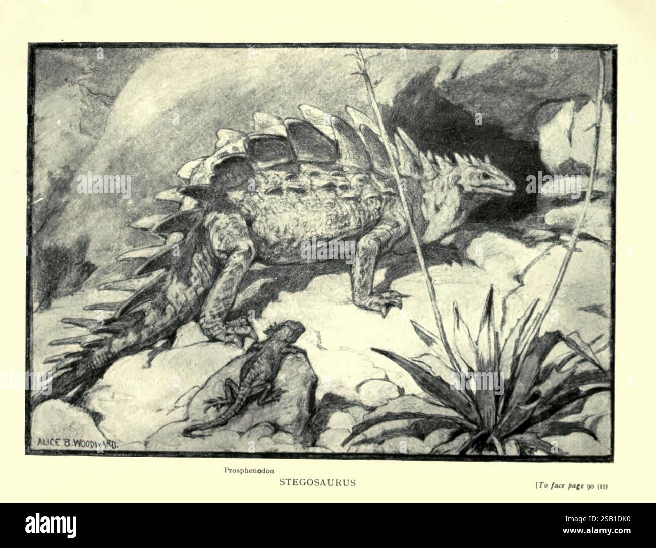 Spiky dorsal ridge hi-res stock photography and images - Alamy