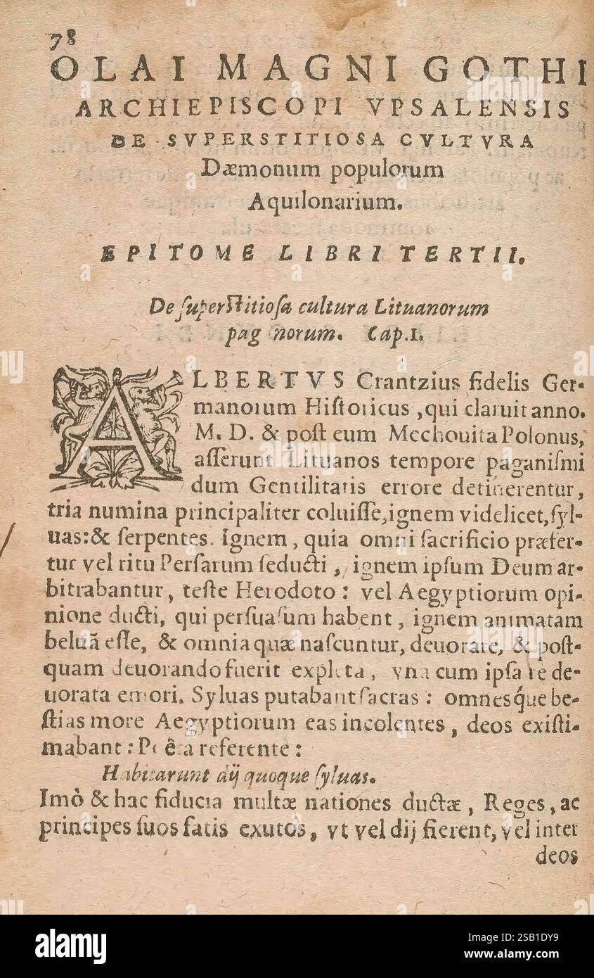 Noble lineages hi-res stock photography and images - Alamy