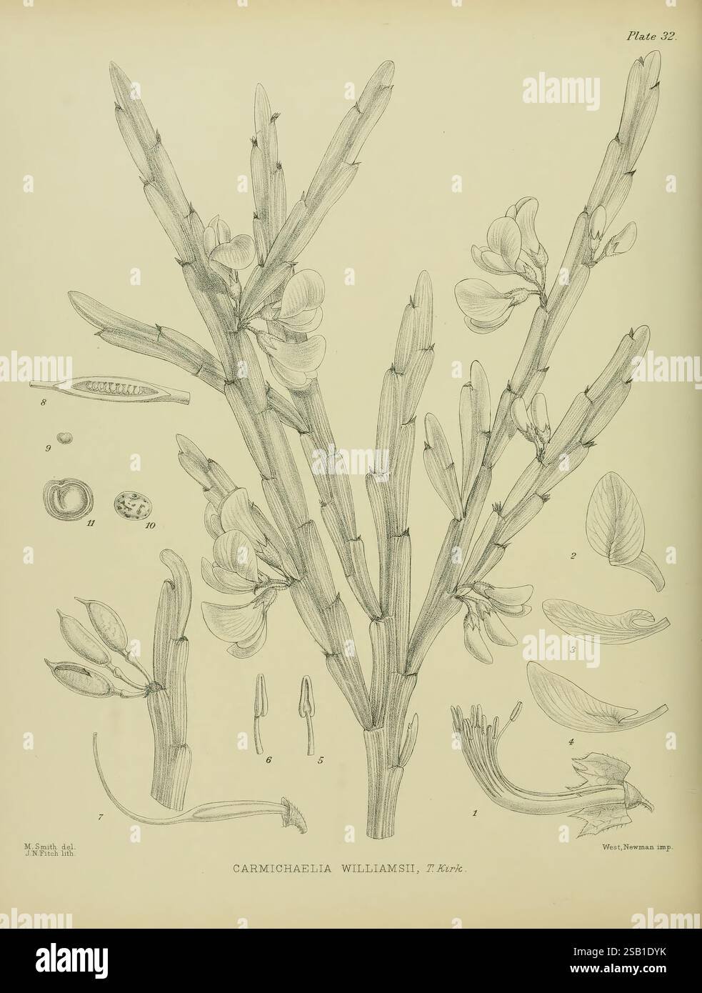 Annotated markers hi-res stock photography and images - Alamy