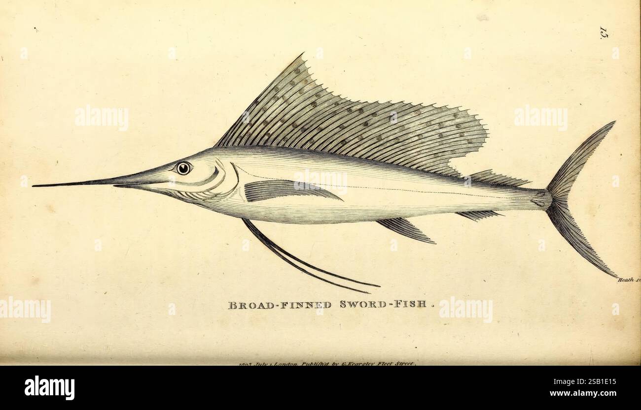 General zoology, or Systematic natural history, London, Printed for G ...