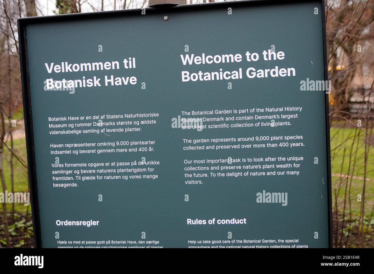 Copenhagen/ DenmarK/ 31 JANUARY 2025/welcome to botanical garden in ...