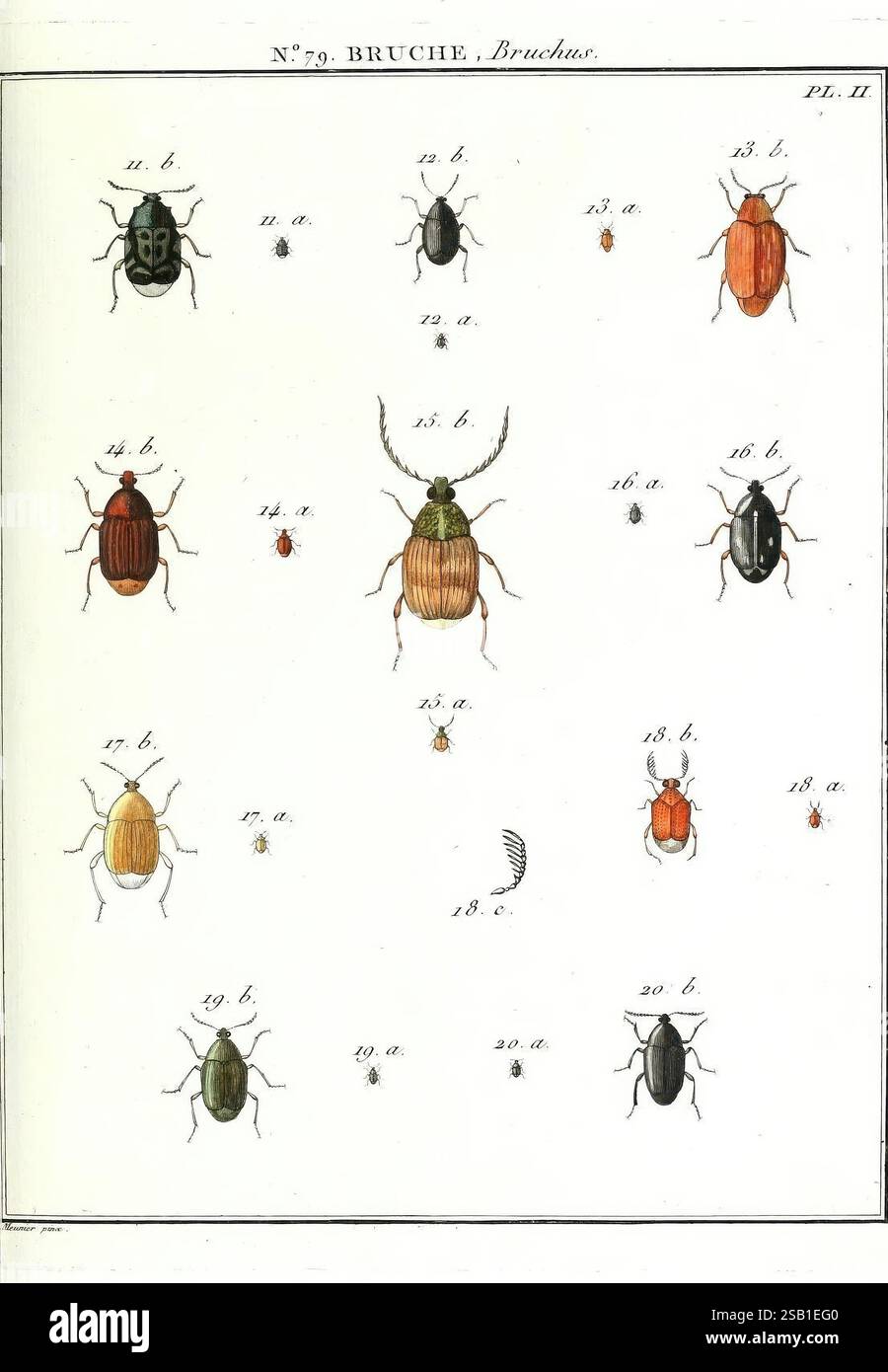 Entomologie ou Histoire naturelle des insectes, Paris, Imp. Baudouin ...