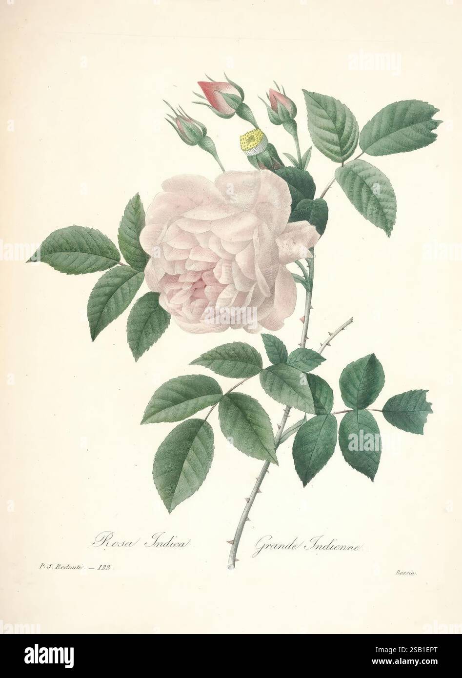 Choix des plus belles fleurs, Paris, Ernest Panckoucke, [1833?], 1833 ...