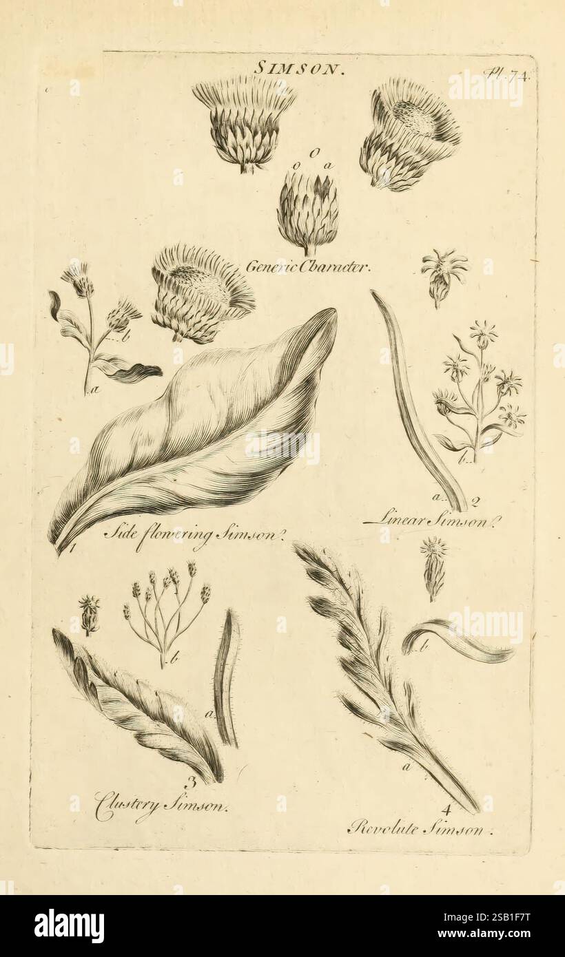 The vegetable system London Printed at the expence of the author and ...