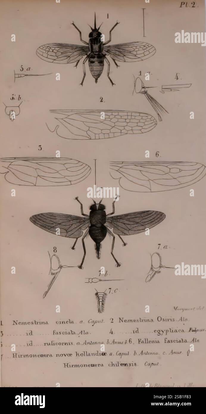 Annotated parts hi-res stock photography and images - Alamy
