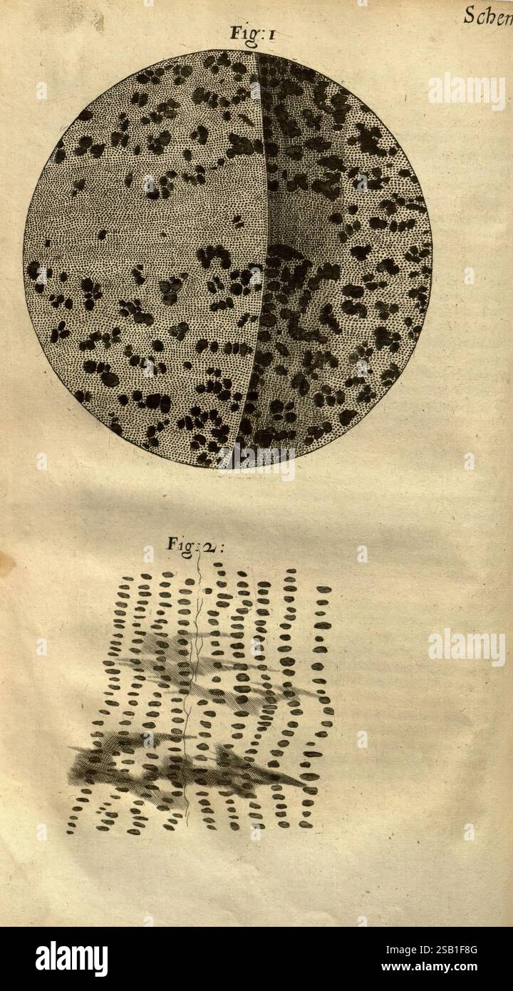 Illustration depicts two distinct figures related hi-res stock ...