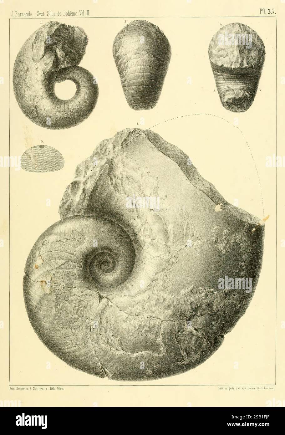 System, Silurian, Centre, Bohême, Prague, Author 1852-1911 ...