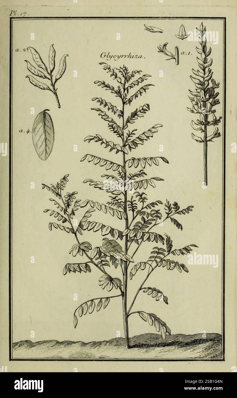 Description, vertus et usages de sept cents dix-neuf plantes, Paris, P ...