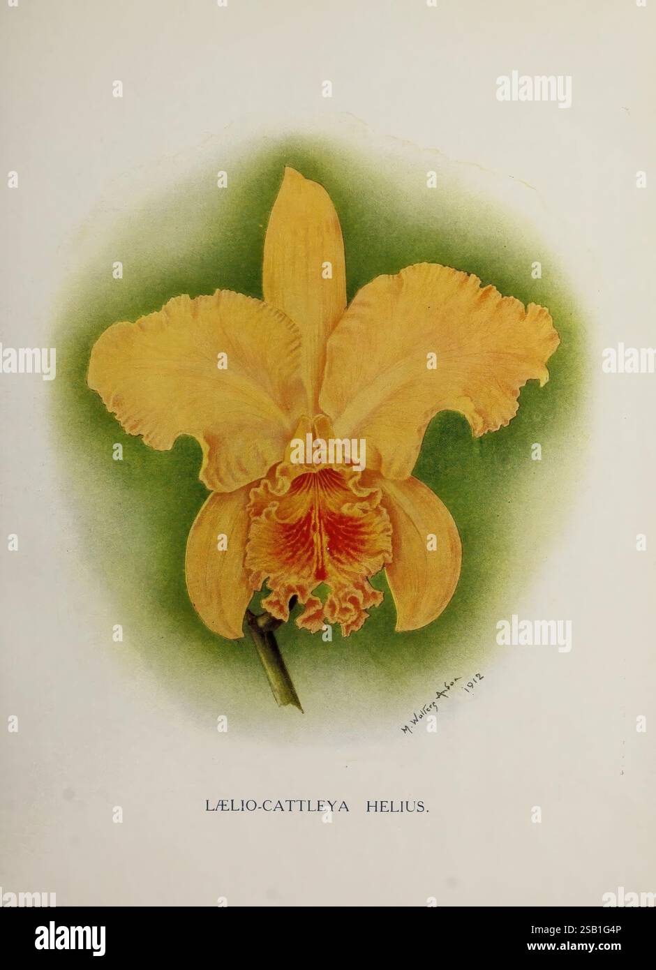 Ruffled lower lip hi-res stock photography and images - Alamy