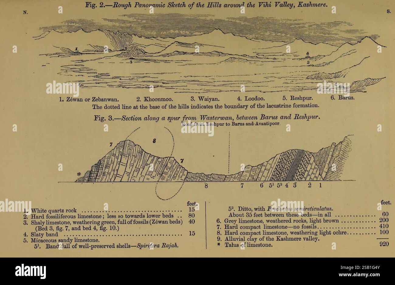 Detailed cross section labeled hi-res stock photography and images - Alamy