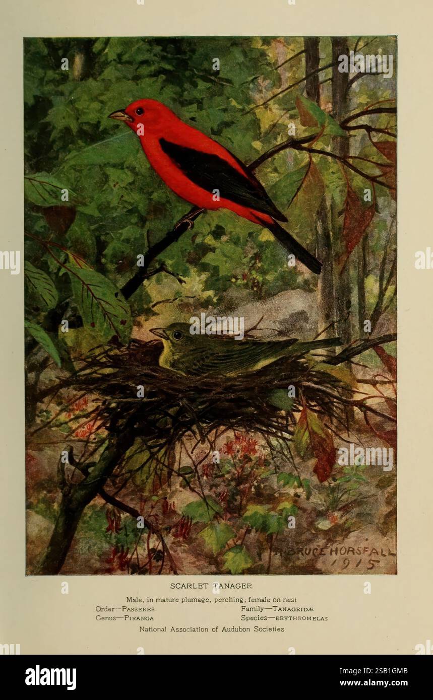 Differing roles hi-res stock photography and images - Alamy