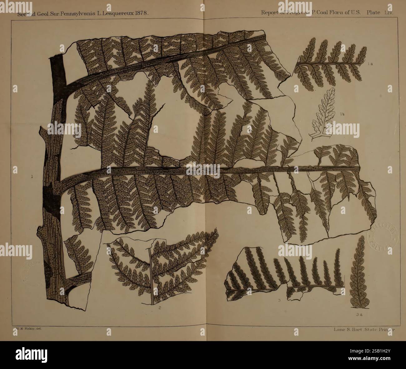 Previous geological era hi-res stock photography and images - Alamy
