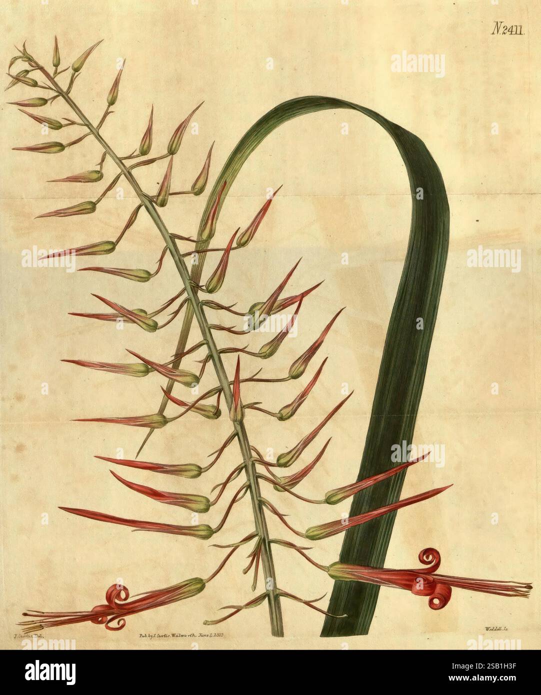 Featuring elongated arches hi-res stock photography and images - Alamy