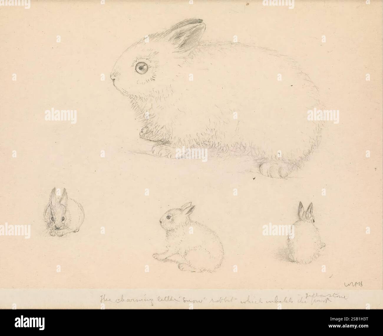 Two additional profiles hi-res stock photography and images - Alamy