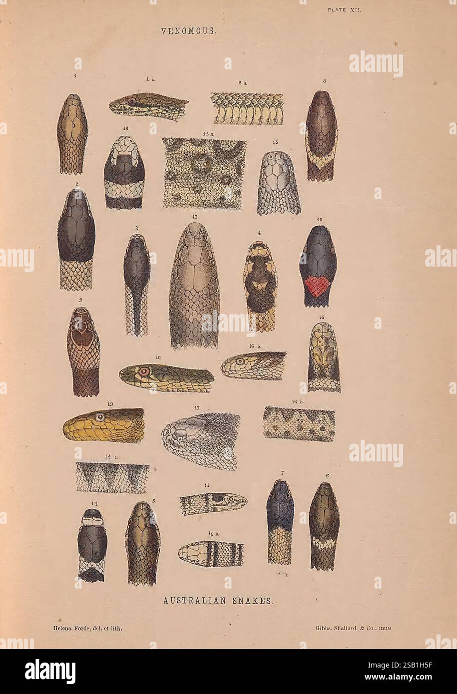 Numbering system corresponding hi-res stock photography and images - Alamy