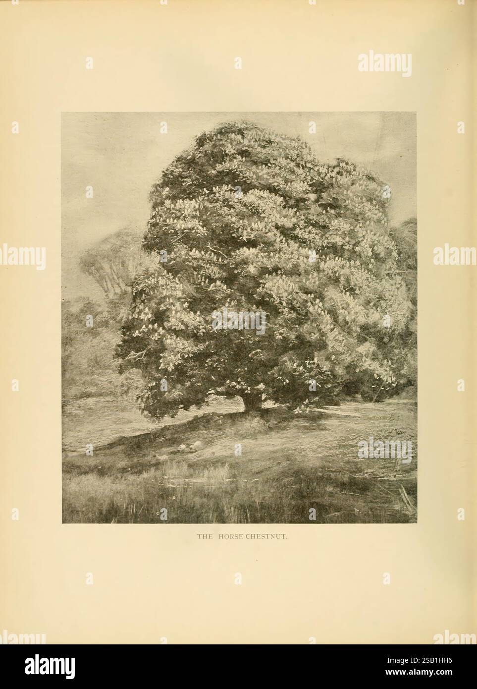 Sense of timeless grandeur hi-res stock photography and images - Alamy