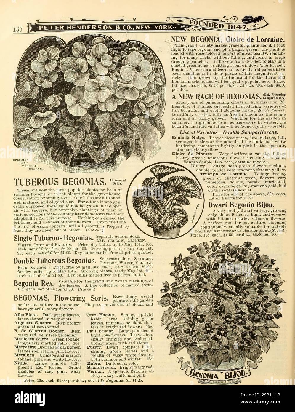 Everything for the garden, New York, Peter Henderson & Co, 1902 ...