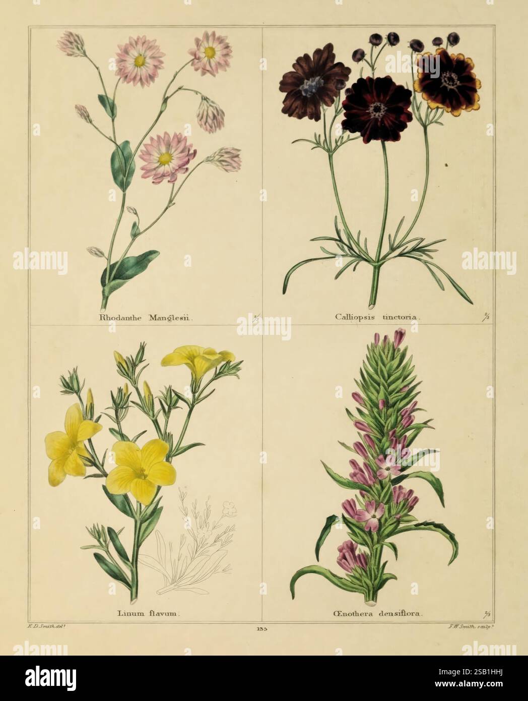 The botanic garden, London, Simpkin & Marshall, 1825, botany ...