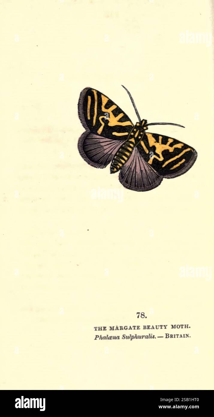 Showcasing bold yellow markings hi-res stock photography and images - Alamy