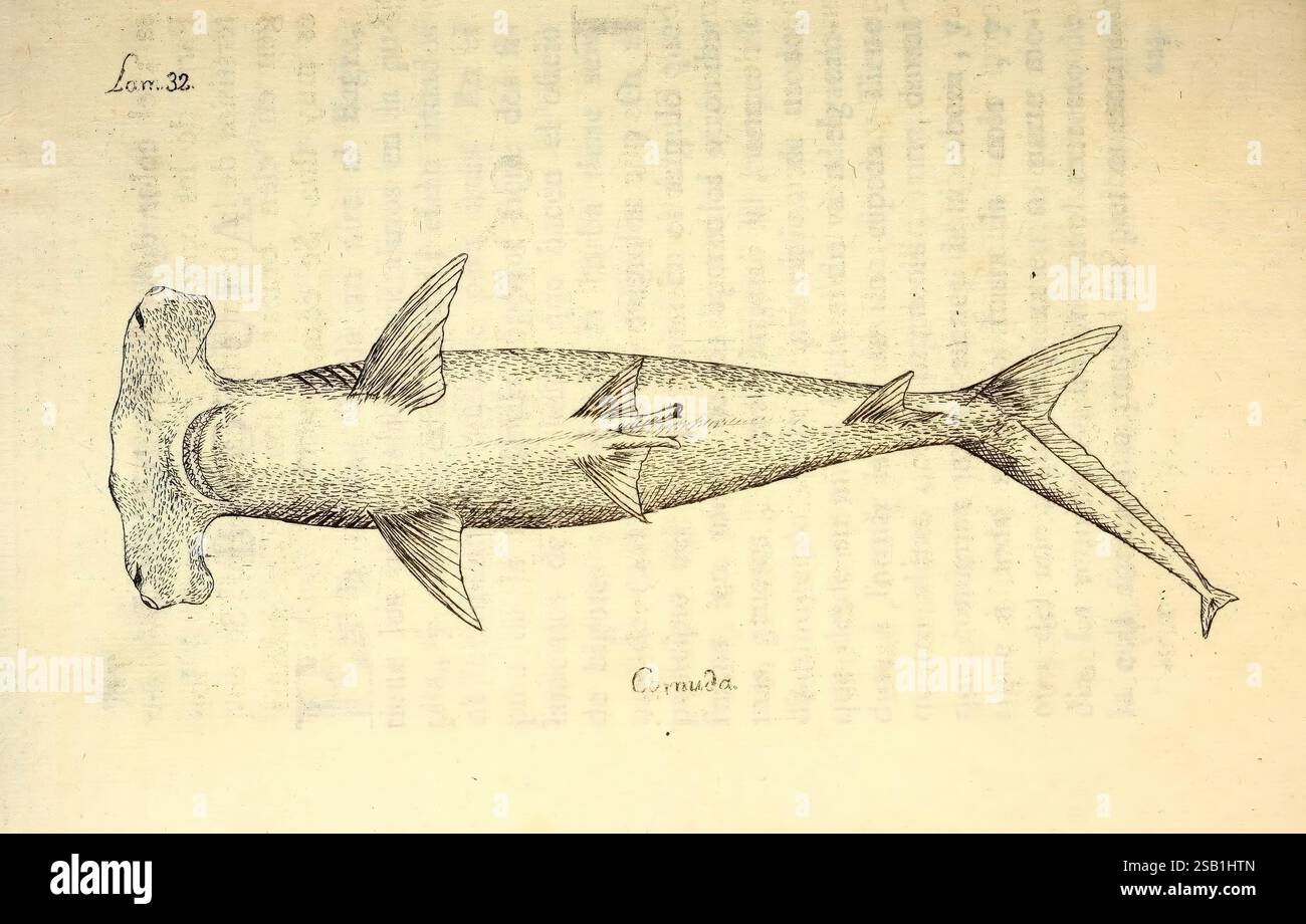 Descripcion de diferentes piezas de historia natural las mas del ramo ...