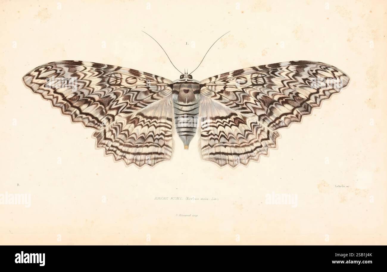 Le règne animal distribué d'après son organisation Paris, 1836-1849 ...