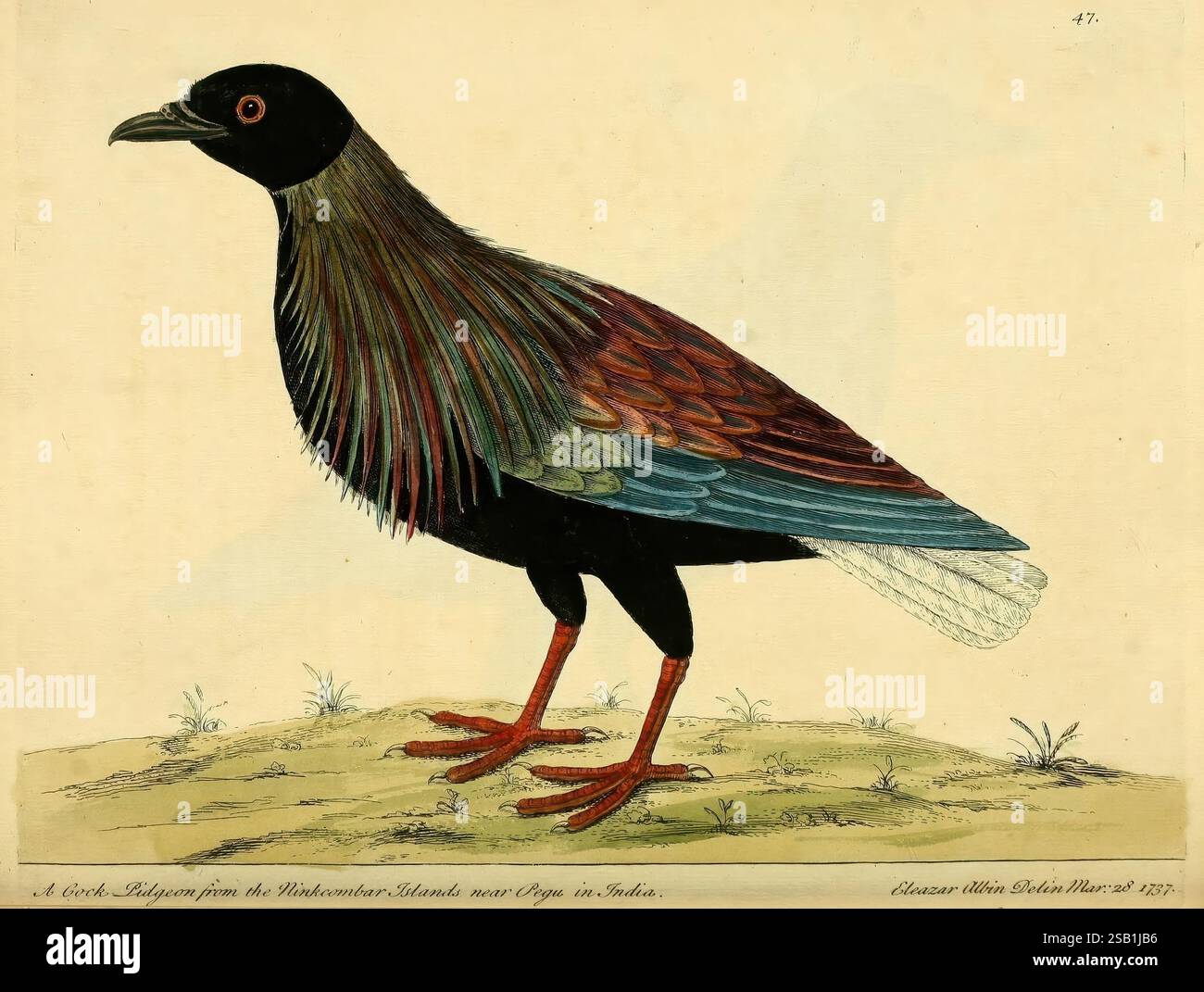 Iridescent colors across hi-res stock photography and images - Alamy