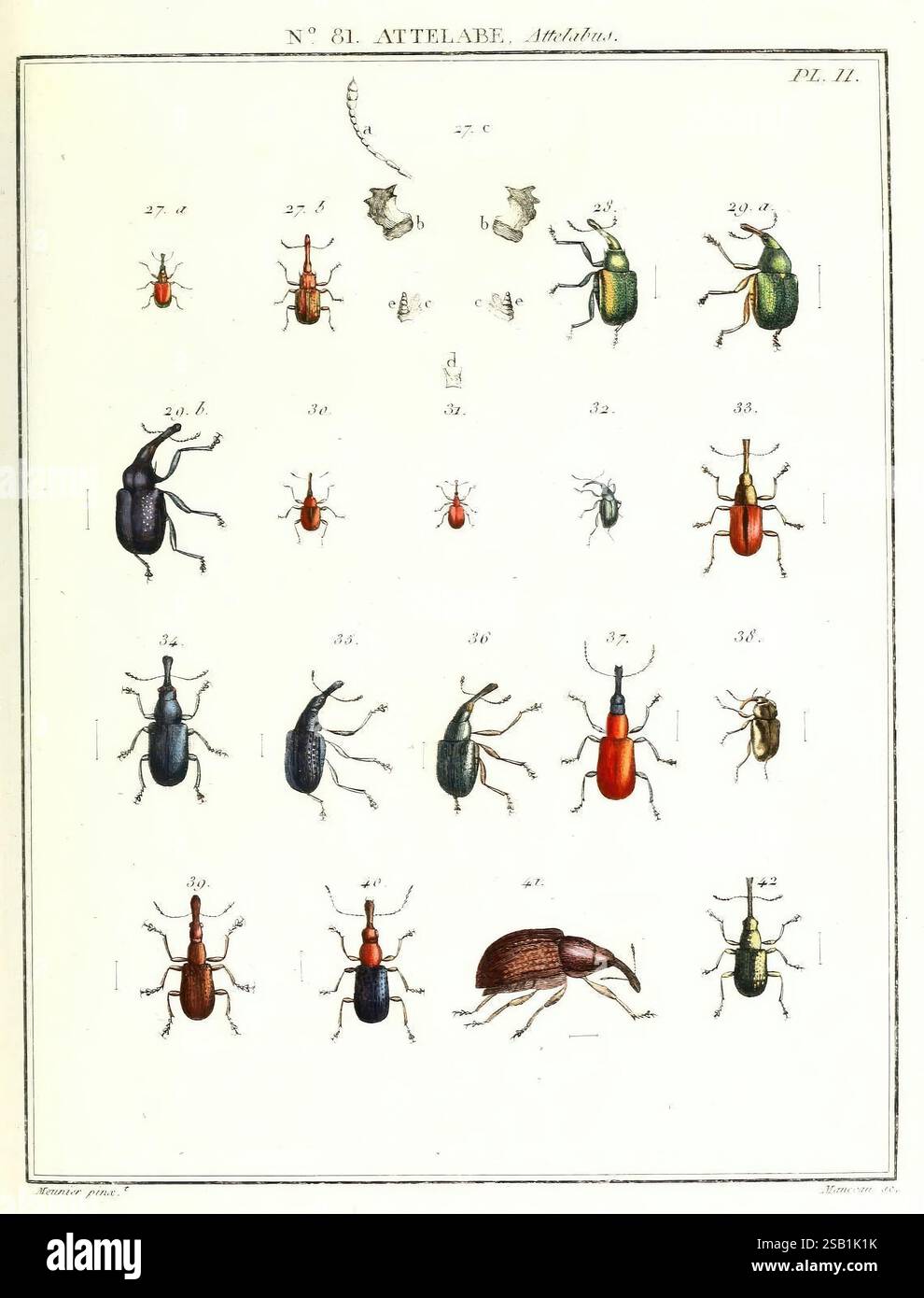 Entomologie ou Histoire naturelle des insectes, Paris, Imp. Baudouin ...