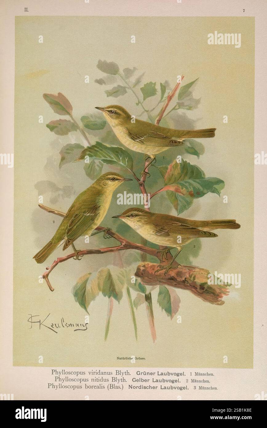 Another tilts hi-res stock photography and images - Alamy