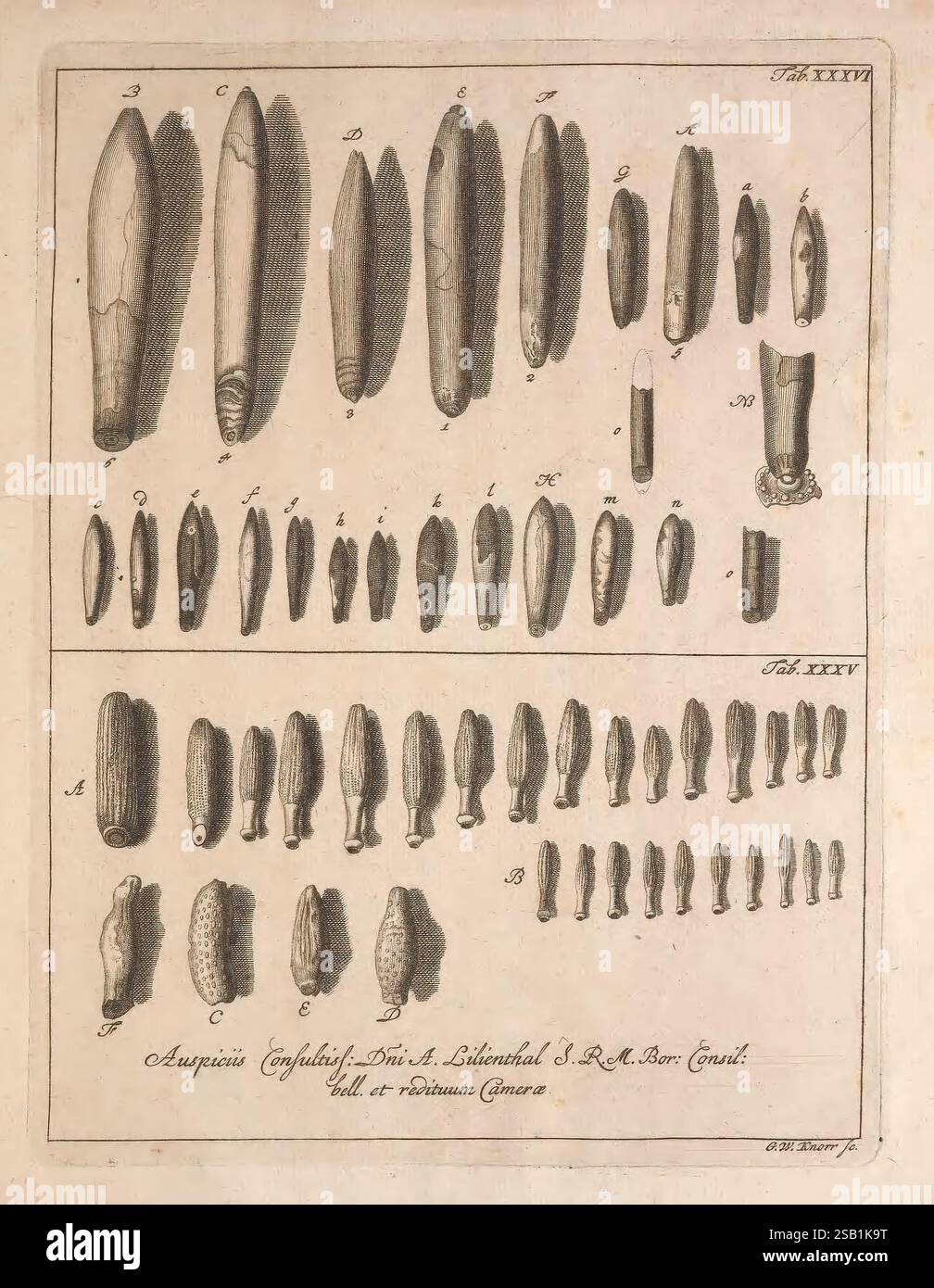 Systematic format across two sections hi-res stock photography and ...