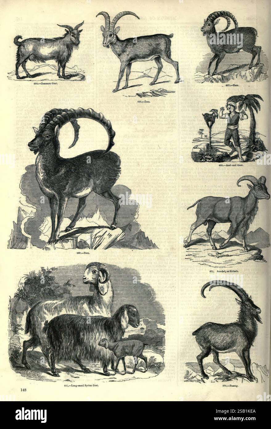 Featuring distinct poses hi-res stock photography and images - Alamy