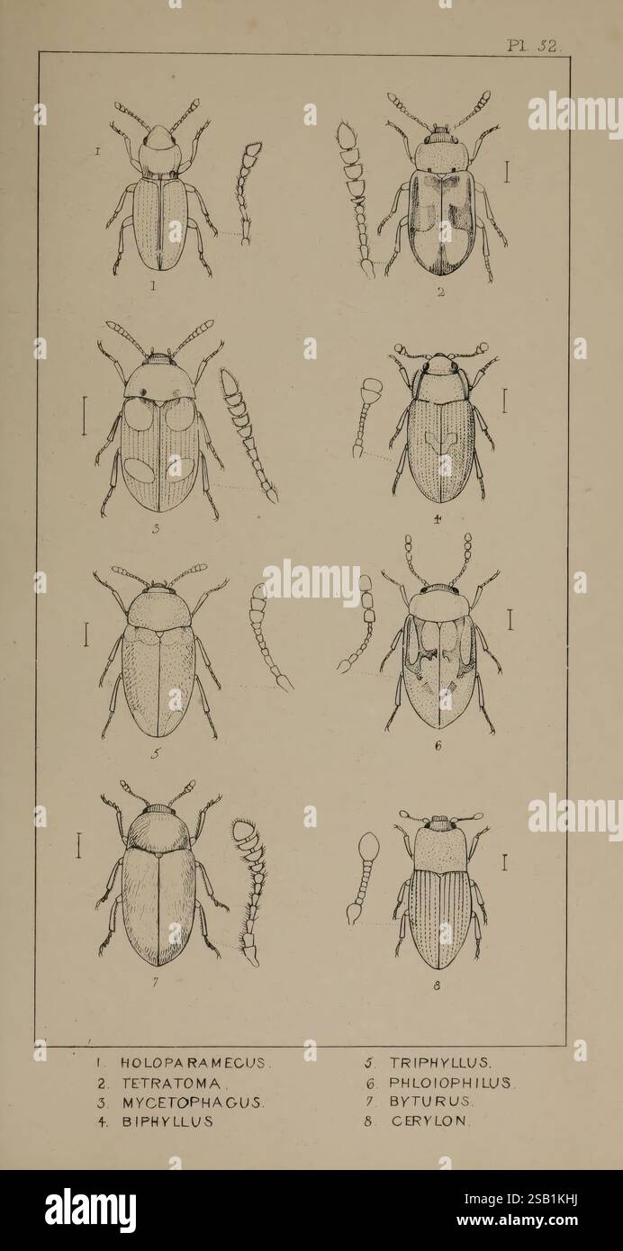 Drawings meticulously capture hi-res stock photography and images - Alamy