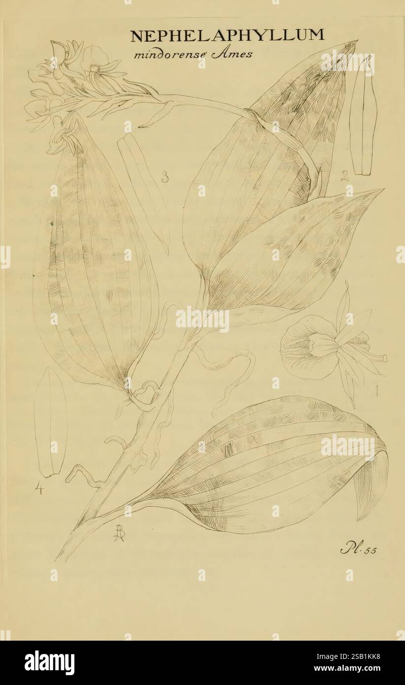 Numerical annotations guide hi-res stock photography and images - Alamy