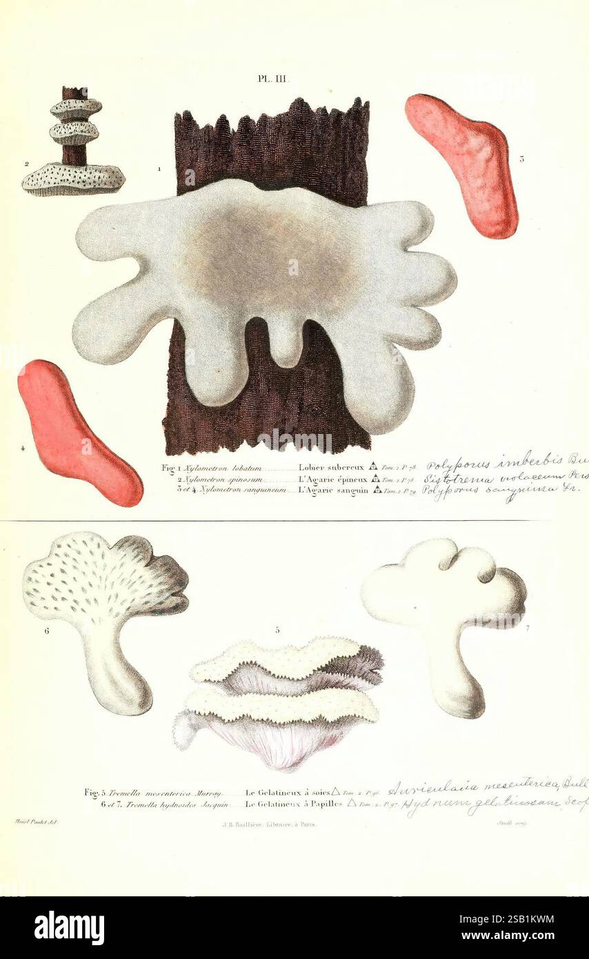 Amorphous structure alongside cylindrical forms hi-res stock ...