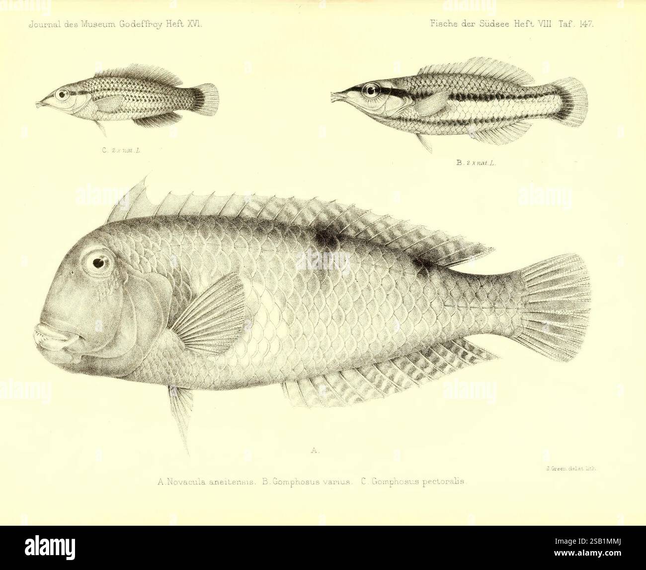 Bottom sketches present alternative angles hi-res stock photography and ...