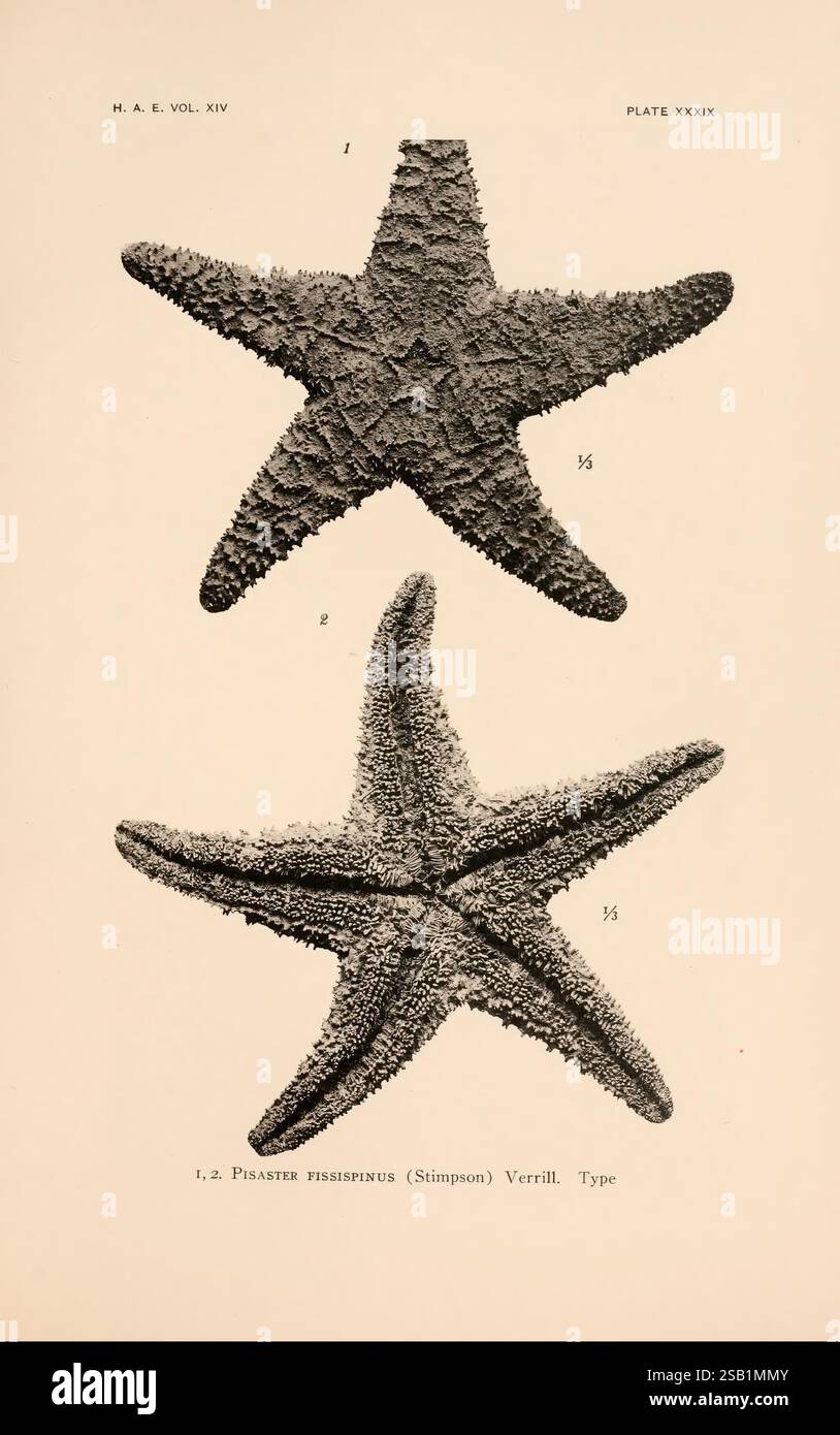 Harriman Alaska series. Washington, 1910-1914. Alaska, Natural History ...