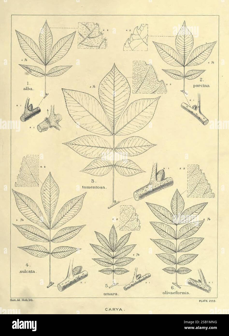 Numbering identifies hi-res stock photography and images - Alamy