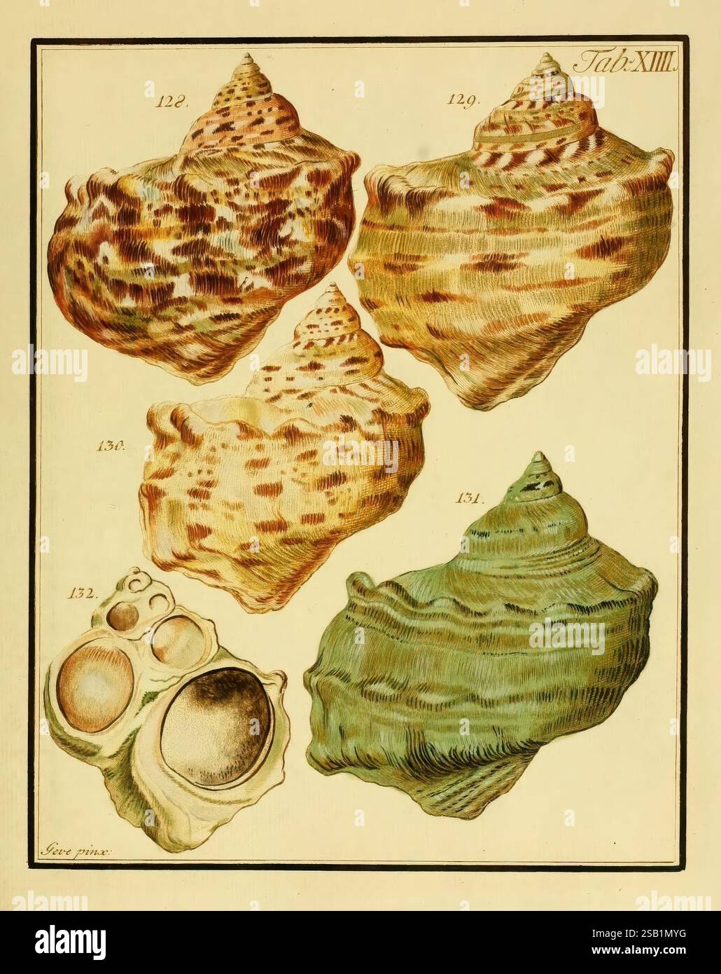 Labeled 131 hi-res stock photography and images - Alamy