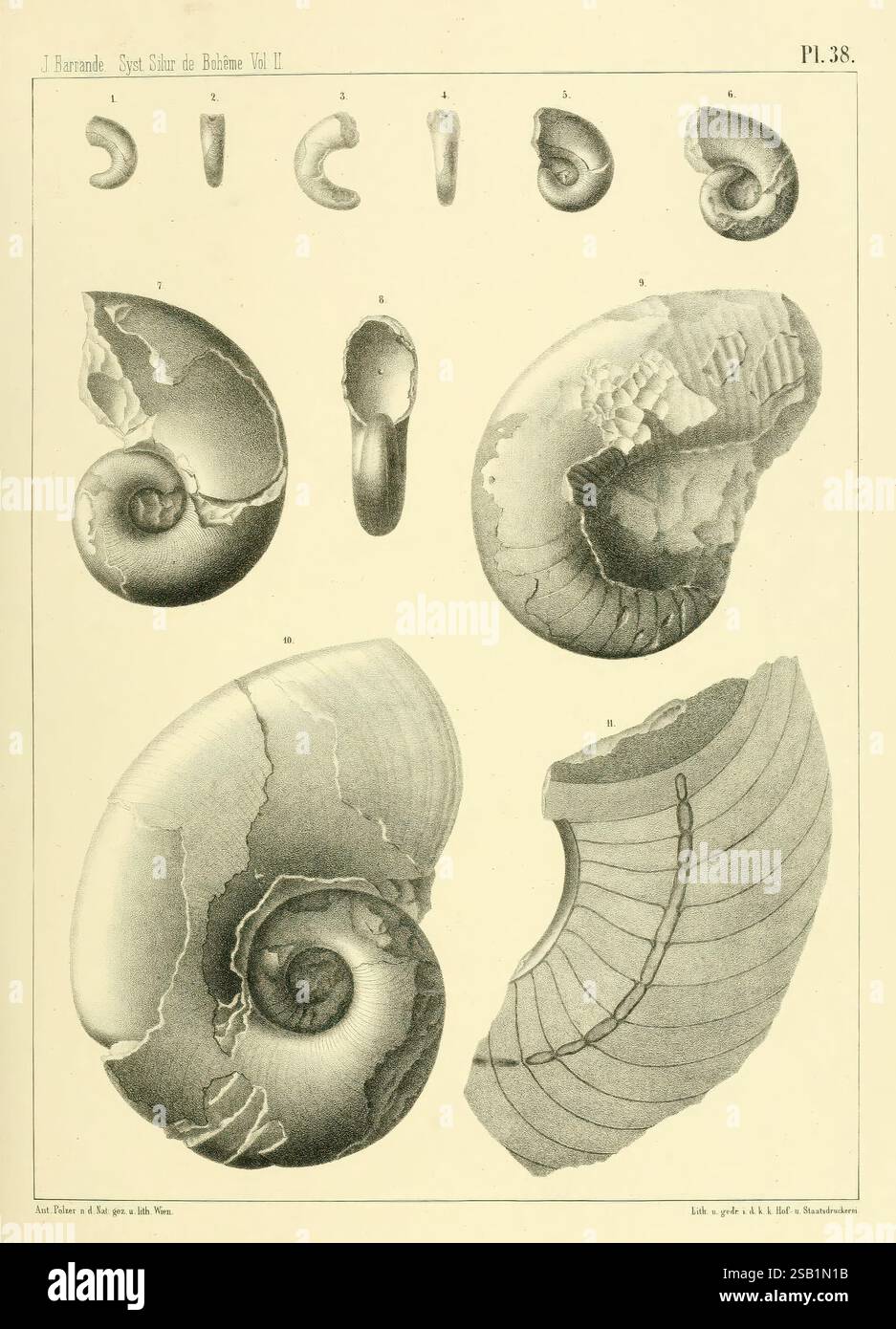 Systême silurien du centre de la Bohême, Prague, Chez l'auteur, 1852 ...