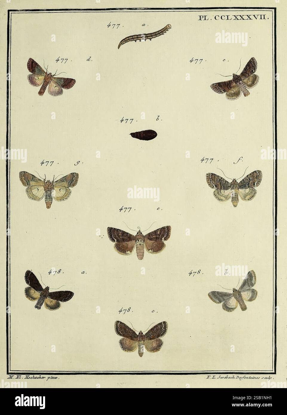 Identifiers labeled hi-res stock photography and images - Alamy