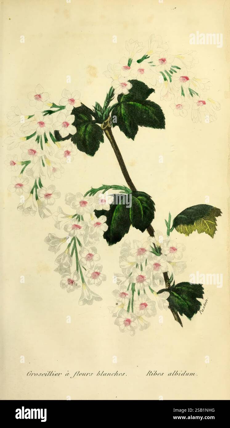 Paris librairie agricole de la maison rustique 1829 1974 france hi-res ...