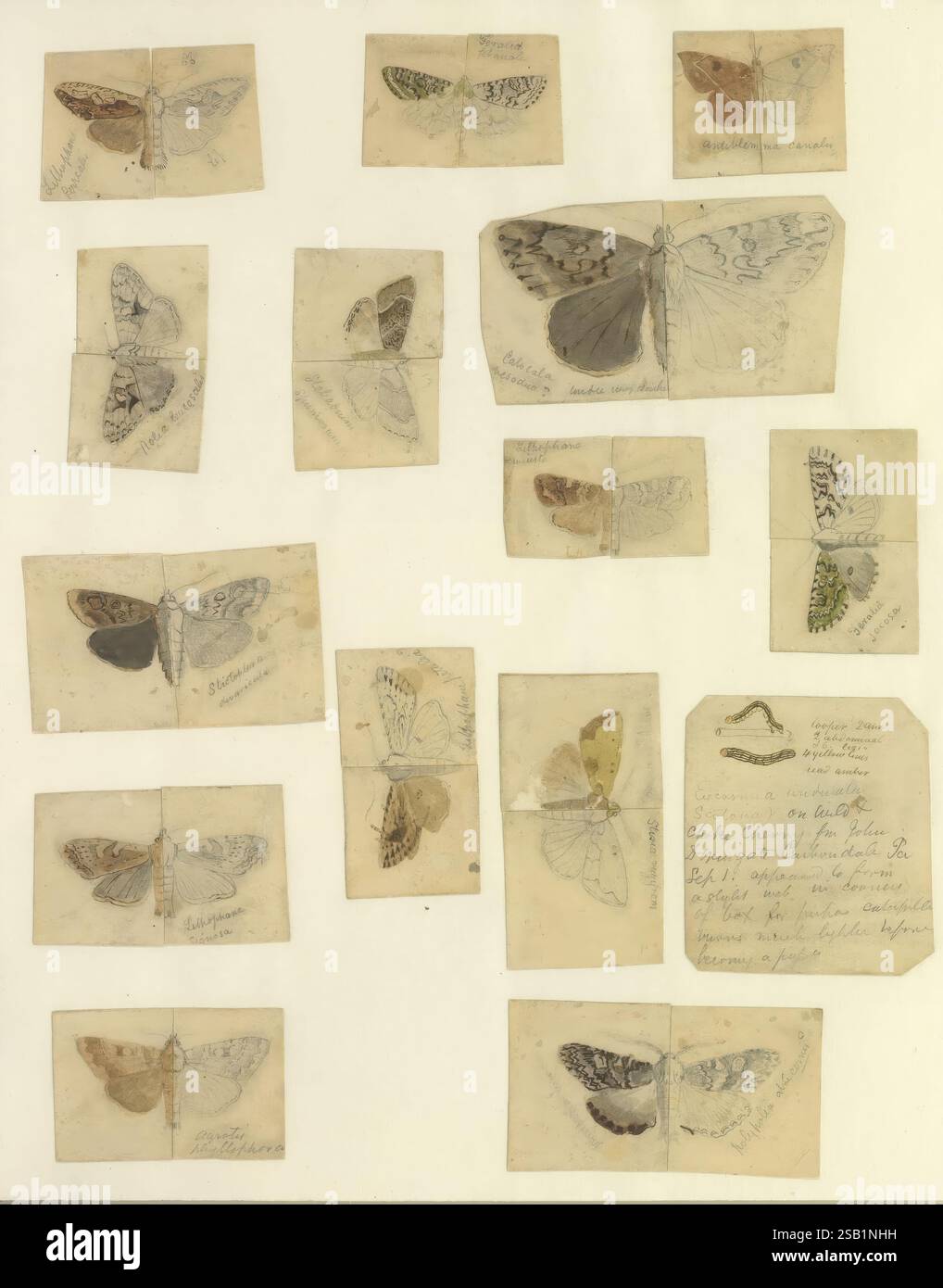 Include handwritten notes hi-res stock photography and images - Alamy