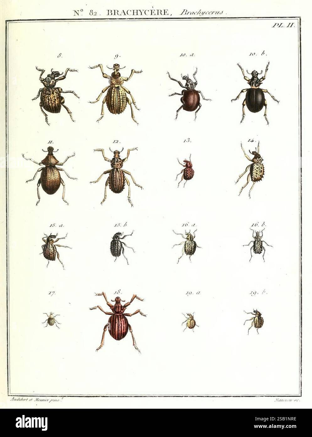 Entomologie, ou, Histoire, naturelle, des, insectes, Paris, Imp ...