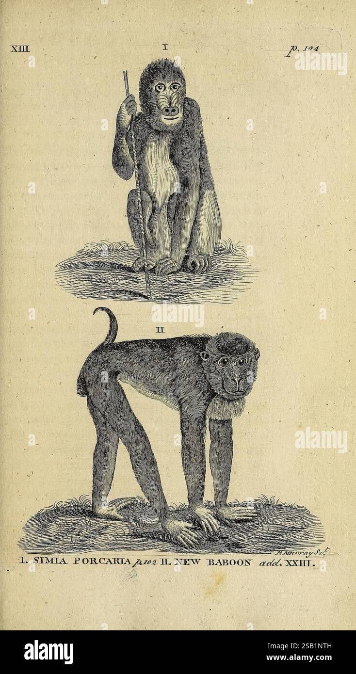 Intelligent eyes add hi-res stock photography and images - Alamy